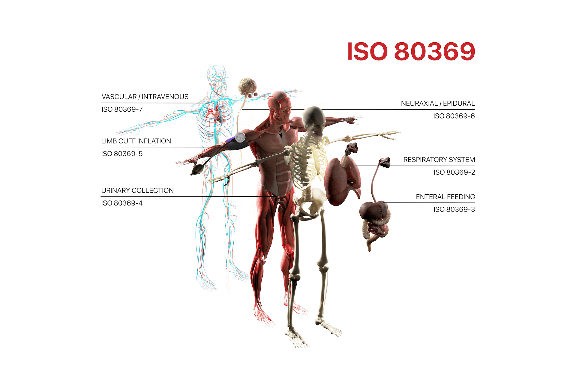 ISO 80369 & ISO 80369-7 for Vascular and Intravenous Applications
